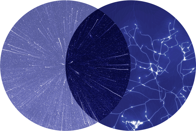 Overlap-Holdings-Business-Model – Overlap Holdings